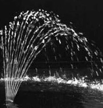 Finger Jet | Ponds Online