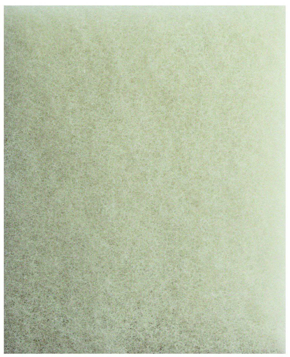 Savio Replacement Filter Pad for Skimmerfilter | Ponds Online